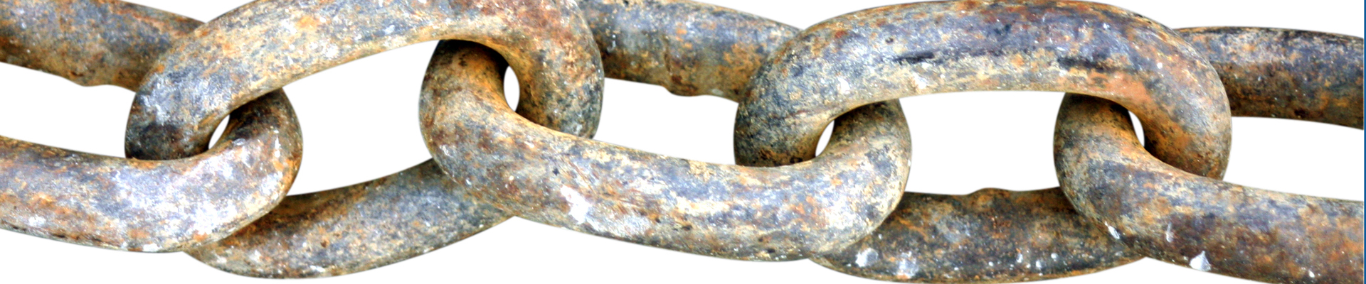 Privacy Policy - The English Speaking Catholic Council